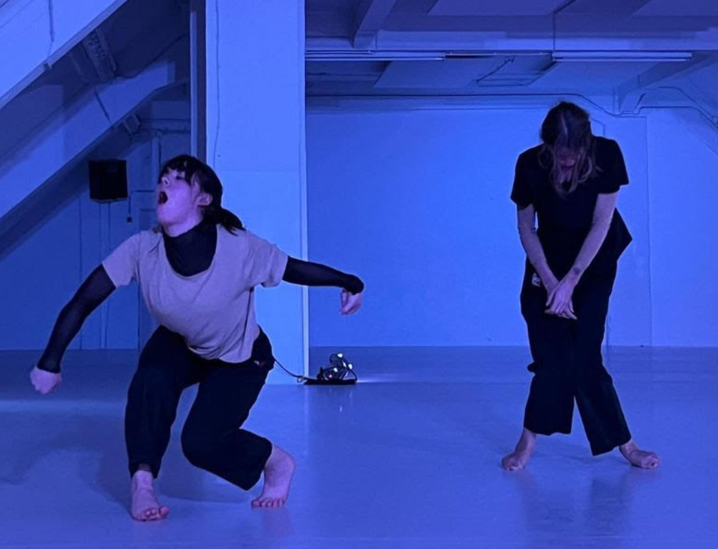 Sharing Values in Shared Spaces by Robyn Byrne - Tipperary Dance Sharing Values in Shared Spaces by Robyn Byrne - Tipperary Dance